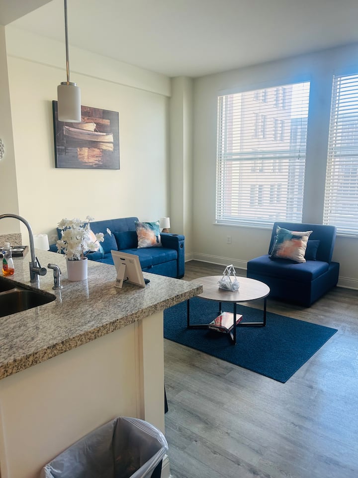 Stunning Downtown 1 Bedroom Apartment - Indianapolis, IN