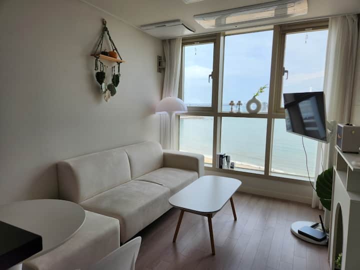 비올라 - Busan