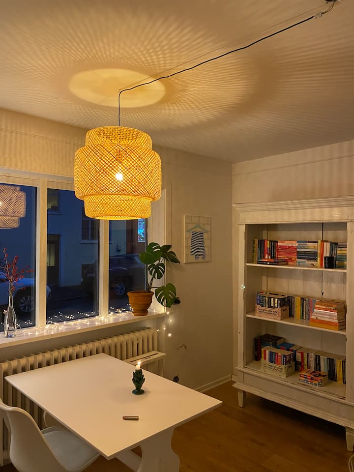 Apartment In The Heart Of Rvk - Reykjavik