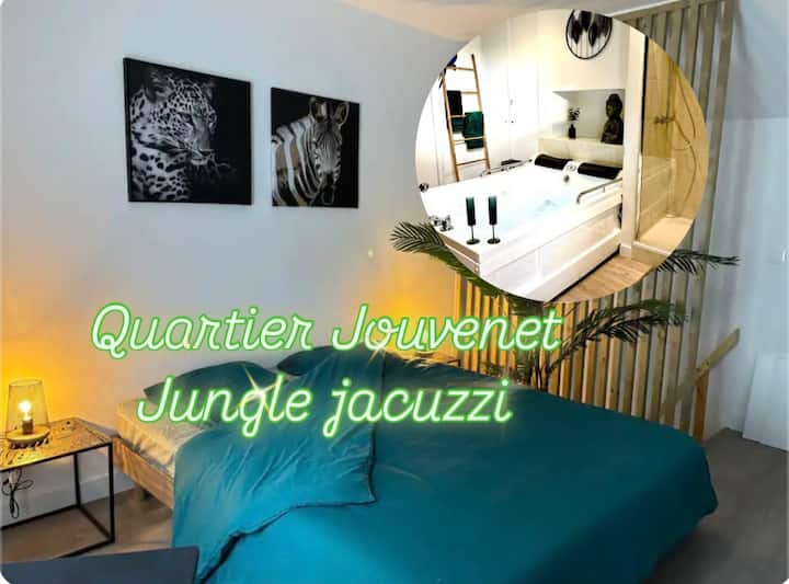 Jacuzzi Jungle Gare Rouen« Ménage & Linge Inclus » - Rouen