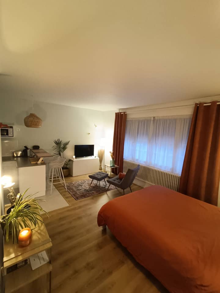 Studio Cosy à 2 Min De Caudry - Caudry