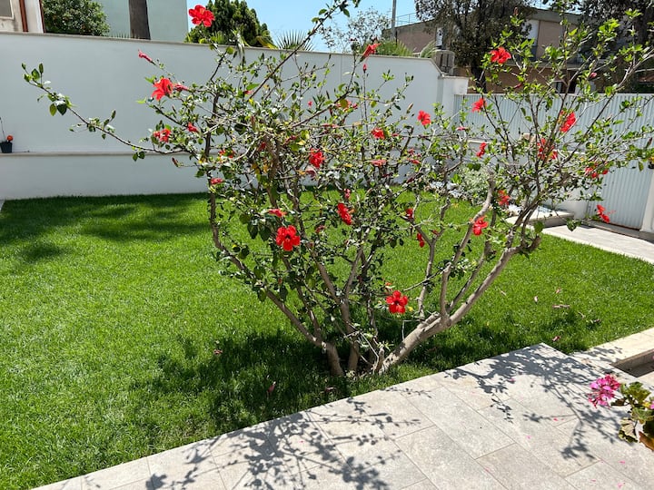 Sea Breeze Garden House - Santa Marinella