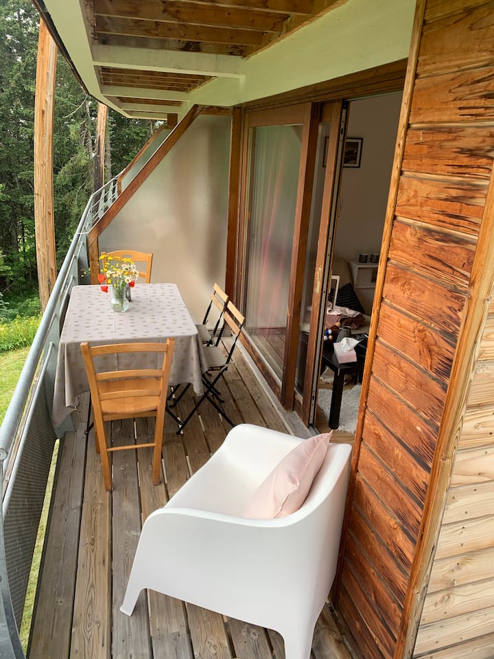 Studio Montagne Avec Wifi à Chamrousse - Lac Achard