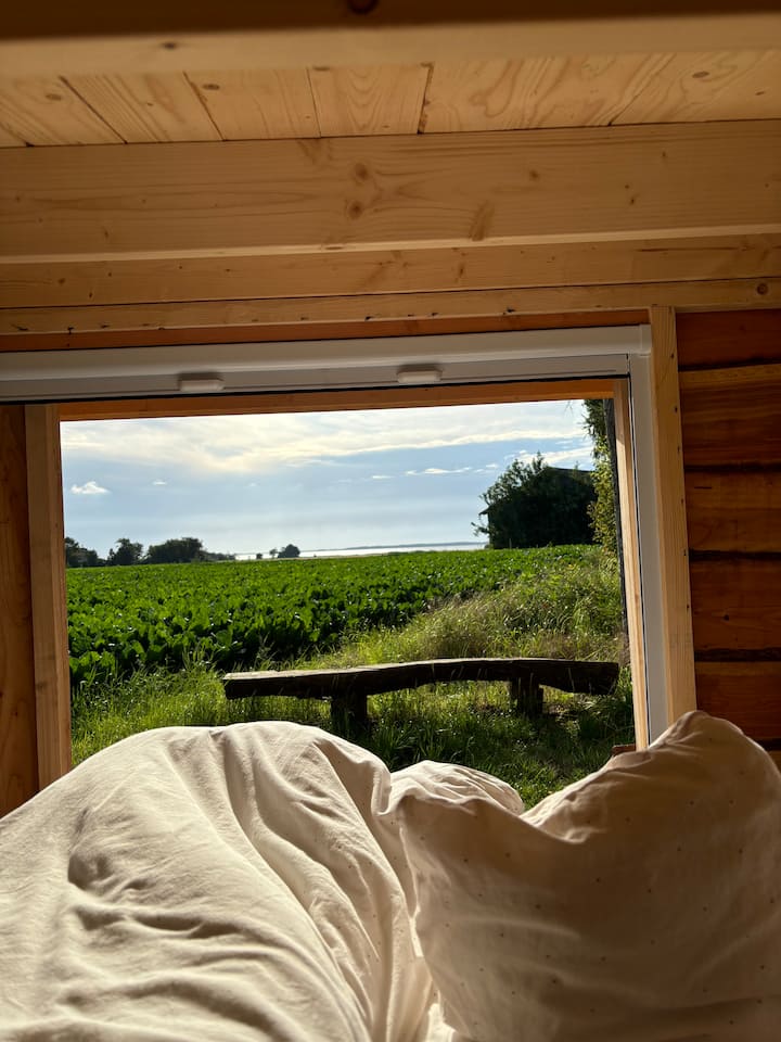 Vågn Op Udsigt, Over Havet. I Shelter Nr.2 - Denmark