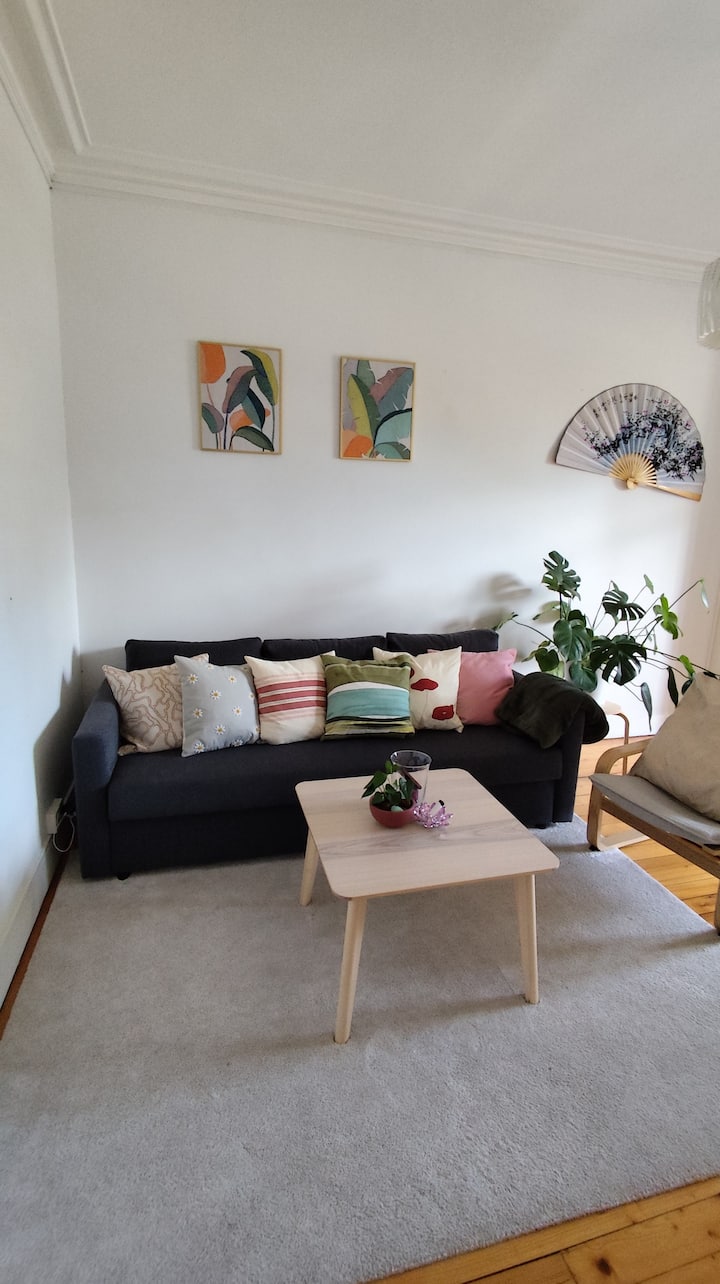 One Bedroom Apartment - Cirque - Genève