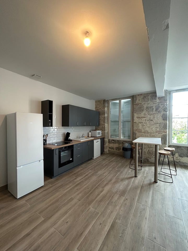 Aiguillon, Appartement Spacieux En Centre-ville - Damazan
