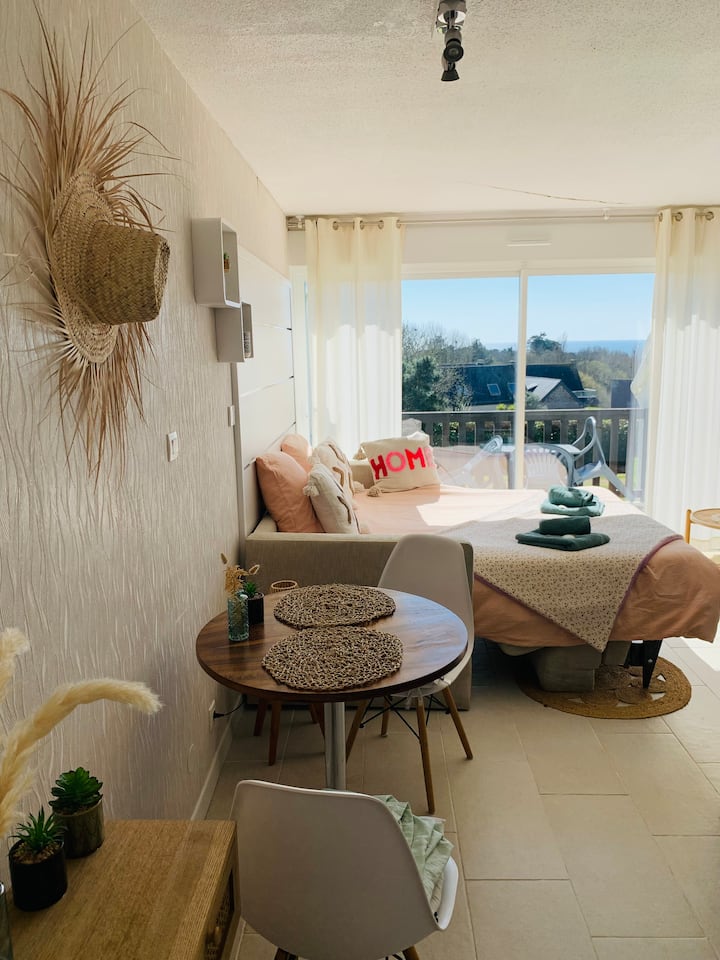 Studio Avec Vue Sur Mer, Piscine, Place De Parking - Bretagne