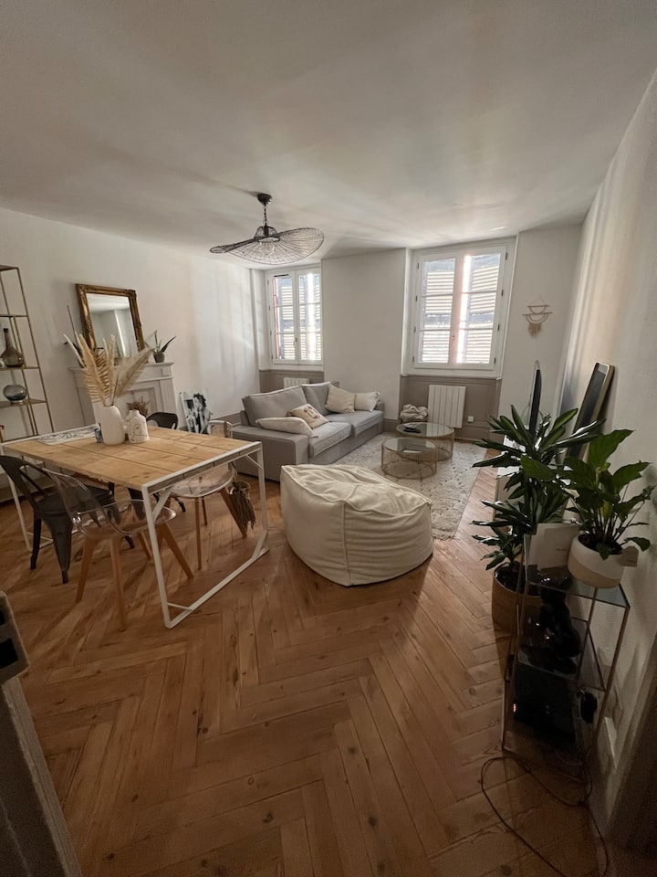 Superbe Appartement De Ville - Montauban