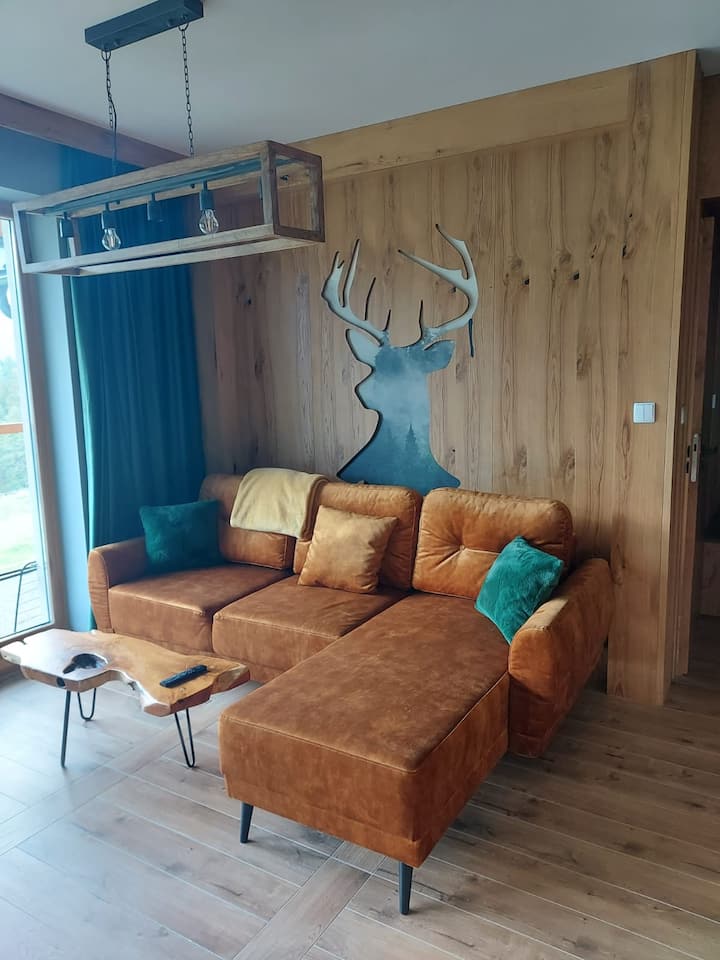 Apartament Widny -2 - Kościelisko