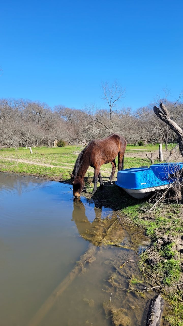 Camping For Two At Oakridge Farm - Retreat, TX