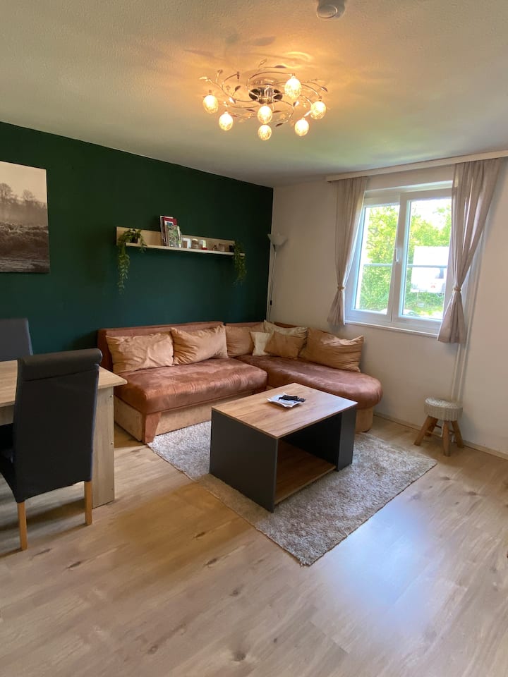 Blackforest 3 Chambre Appartement - Unterkirnach