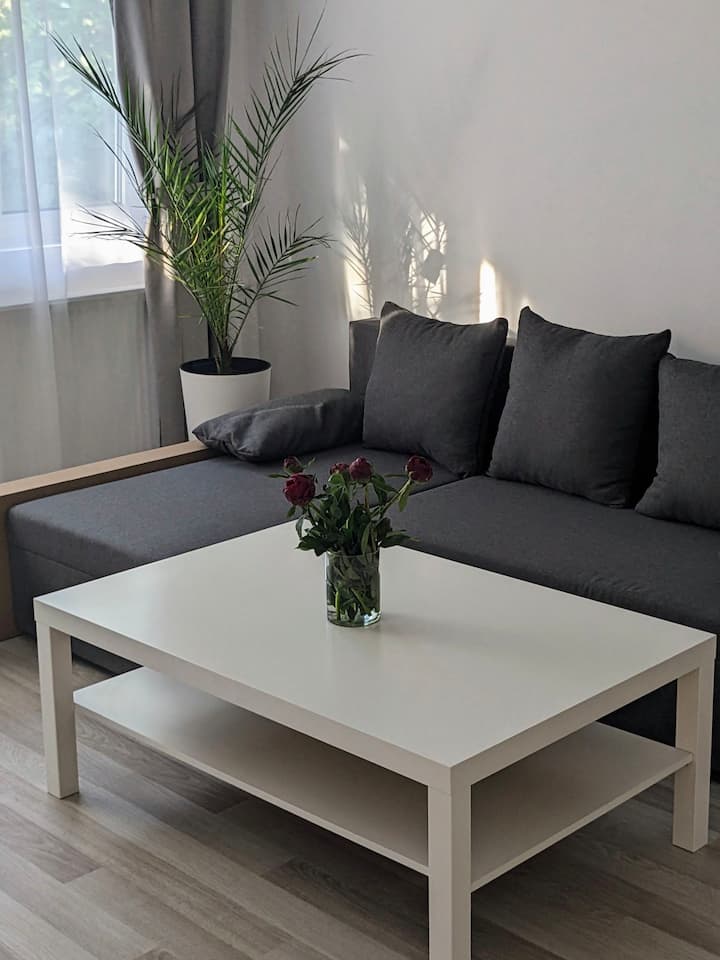 Cozy Apartment • Family & Friends • Self Check-in - Bucarest
