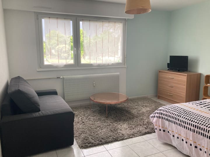 Petit Appartement Cosy - Mulhouse