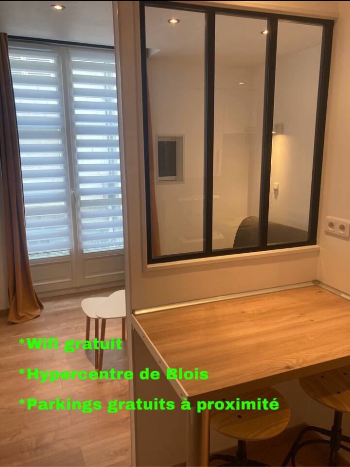 Sublime Studio En Hypercentre - ibis Styles Blois Centre Gare
