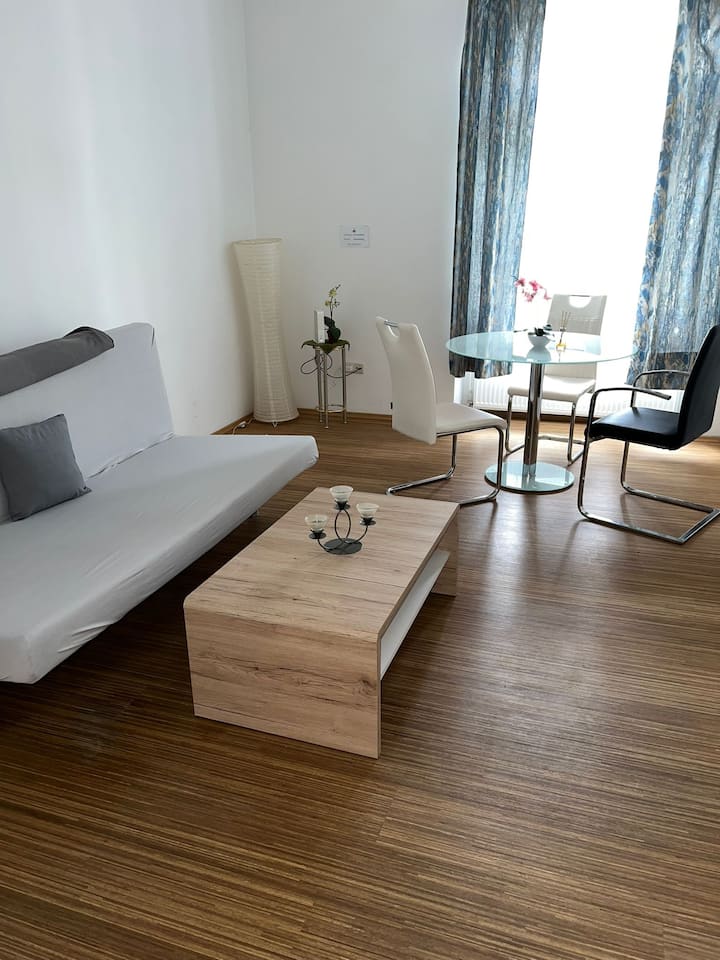 Beautiful Flat Near City Center - Viena