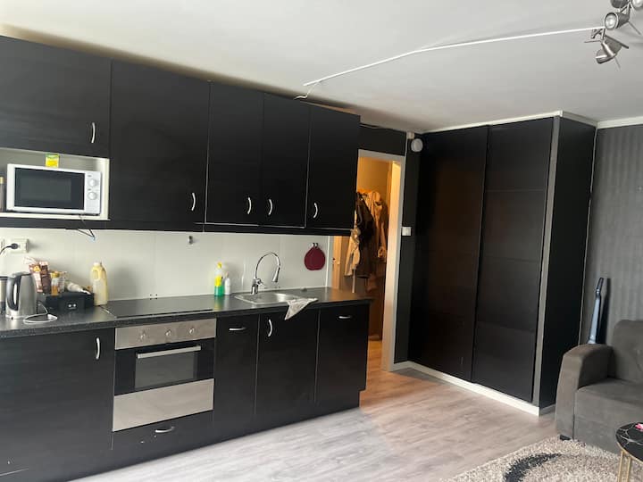 Fin Og Sentralt Leilighet! - Kristiansand