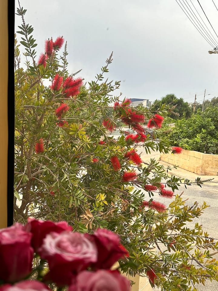 Eco Friendly Guesthouse - Malta