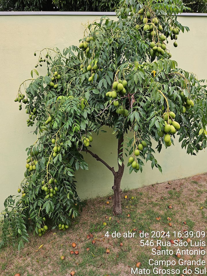 Pousada Cajamanga Mirim - Campo Grande