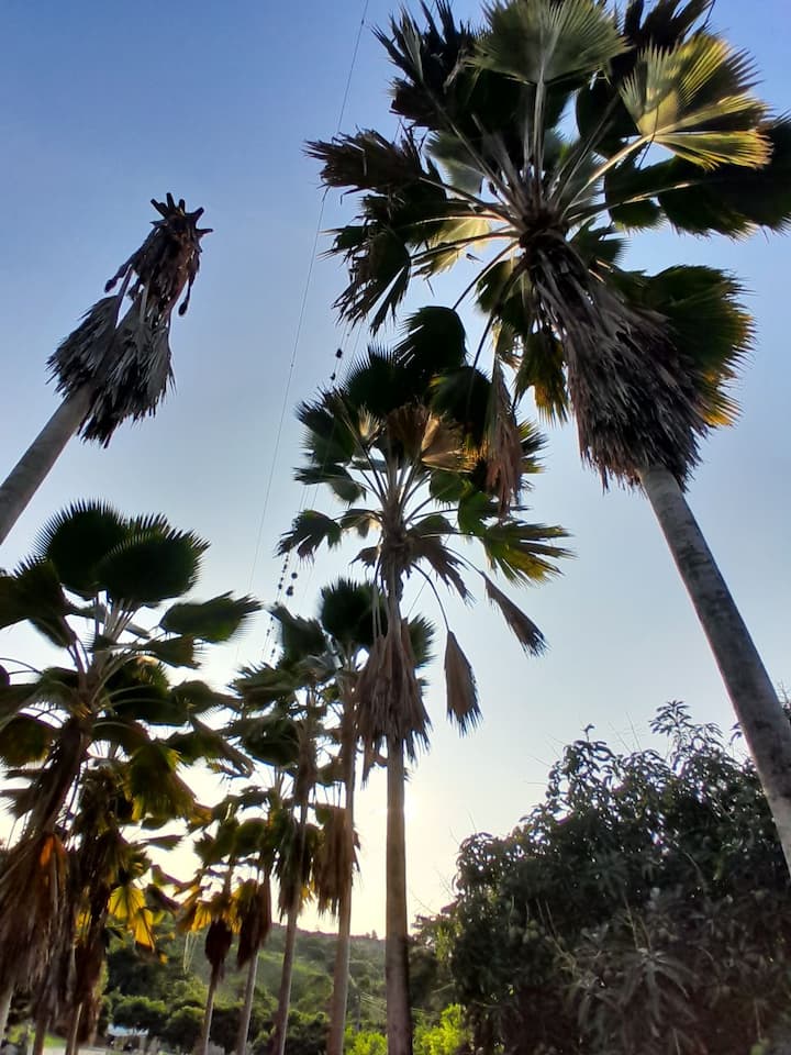 Disfruta Tu Descanso - La Mesa
