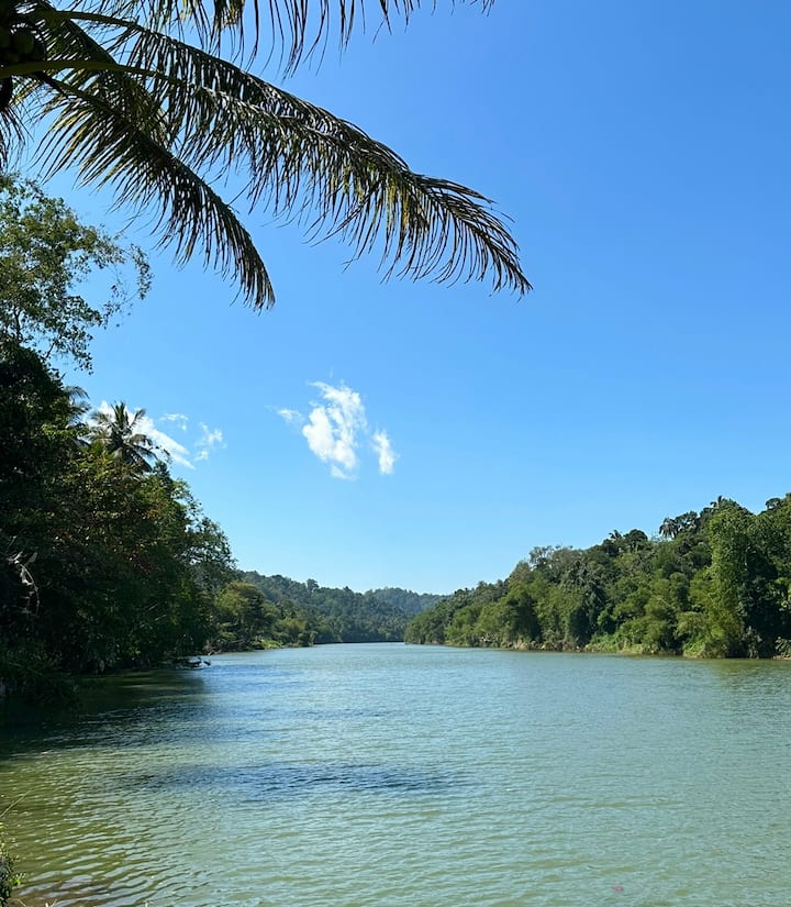 Panta-rhei : Suite One - Kandy