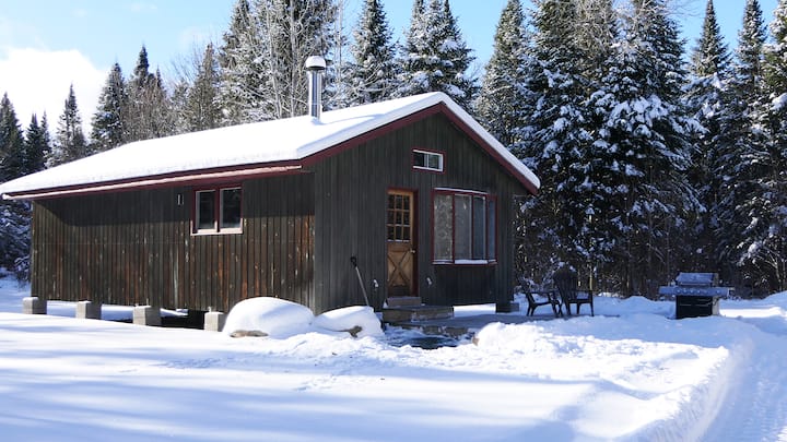 Meadowlark #5 - Visit Algonquin! - Ontario 60