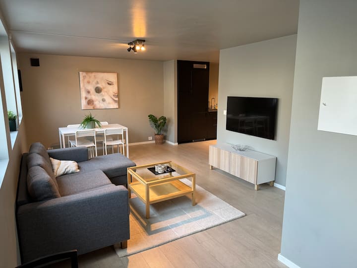 Nyoppusset Leilighet I Stavanger - Stavanger