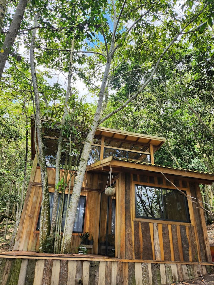 Zen Oasis Del Bosque Casa áRbol - Calima