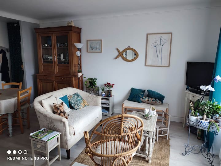 1 Chambre 1canapé-lit
100m De La Plage+commerces. - Saint-Pierre-la-Mer