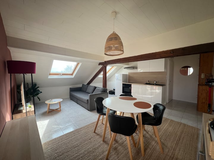 Le Paisible • Wifi • Parking • 7 Min De Sarrebourg - Sarrebourg