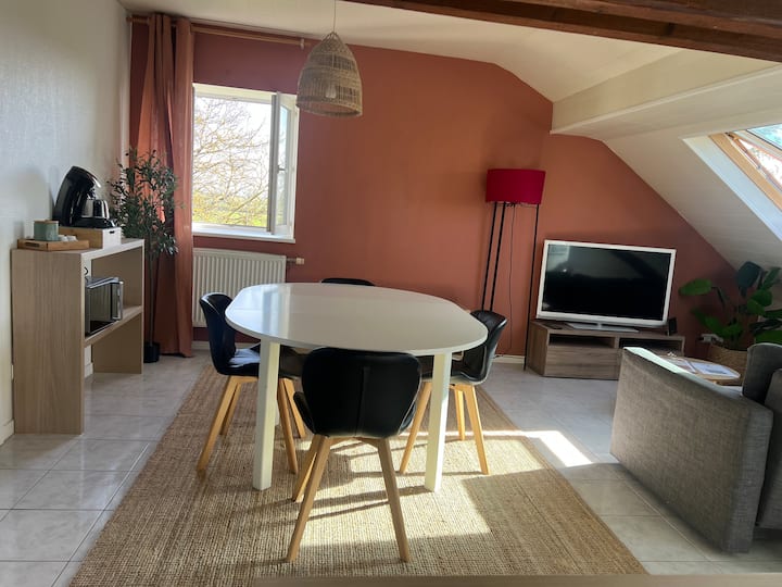 Le Paisible • Wifi • Parking • 7 Min De Sarrebourg - Sarrebourg