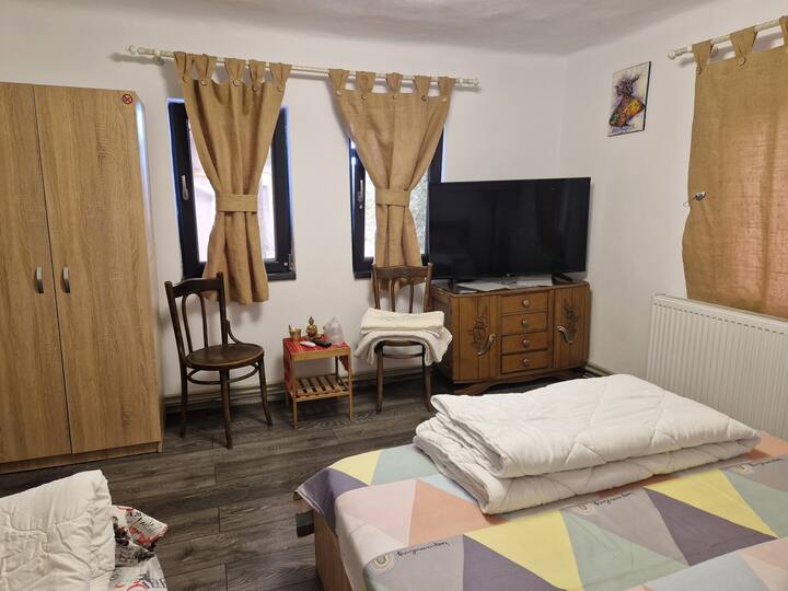 Casa Bunicilor - Dragoslavele