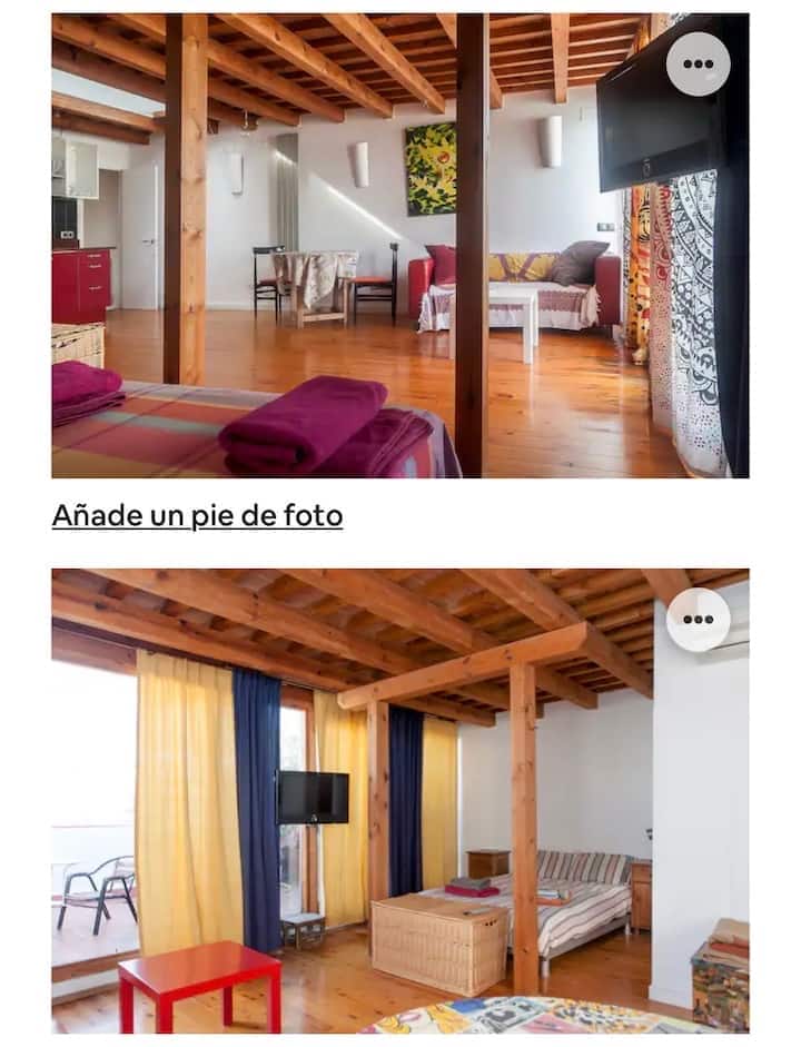 Big Loft Terrace - Barcelona