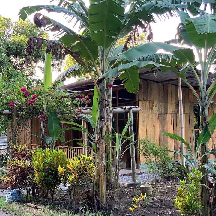 Casa De Campo. - Tingo María