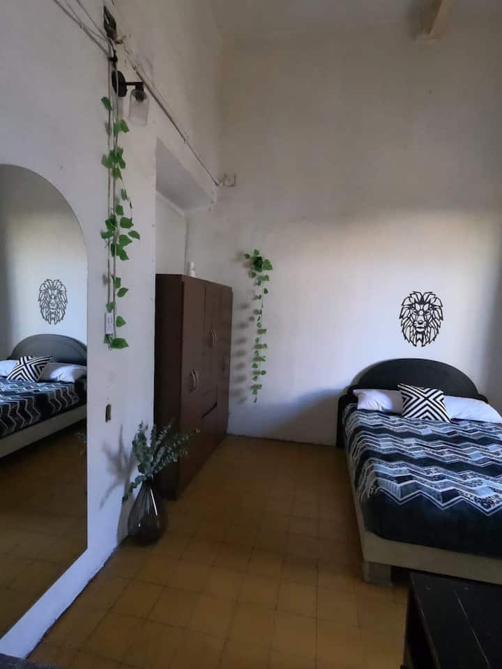 Departamento Leo En Zona Centro - 과달라하라