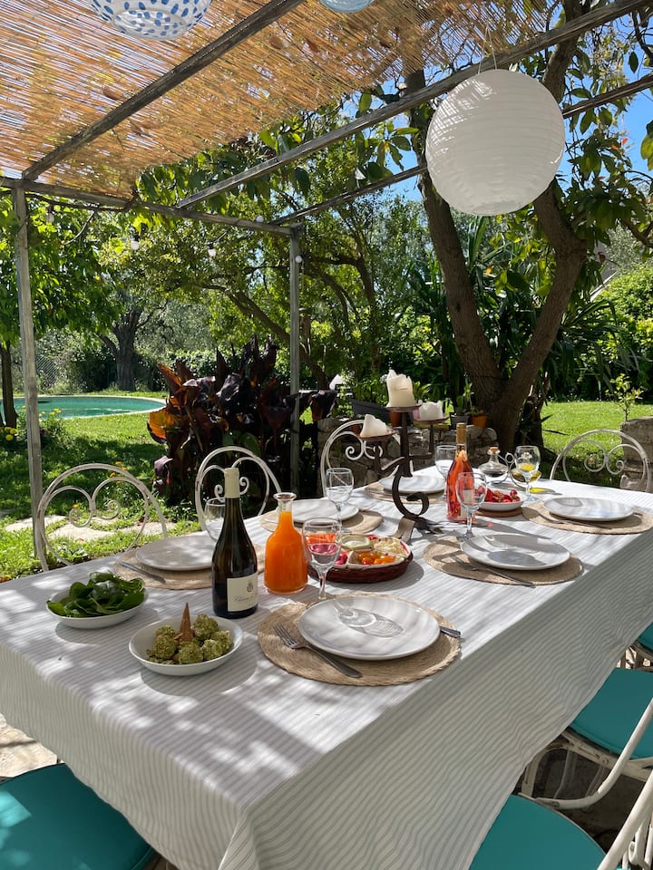 Maison Provençale : Charme, Piscine Et Calme - Saint Paul de Vence