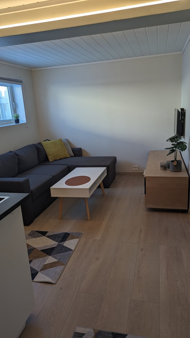 Trivelig Hybel I Tromsdalen Med Gratis Parkering - Tromsø