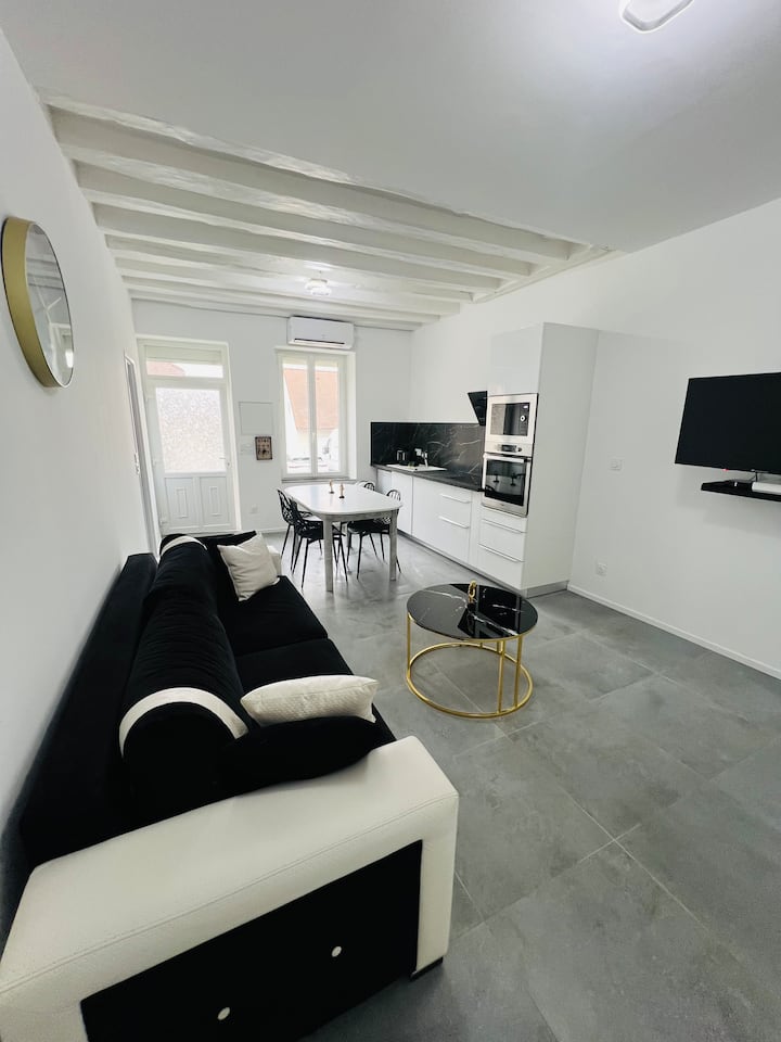 Maison Moderne Proche Zoo Beauval (Classée 3 *) - Selles-sur-Cher