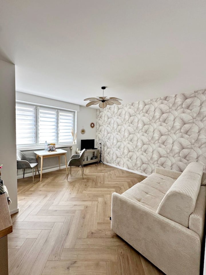 Studio Cocon Prestige Avec Parking Privé - Strasbourg