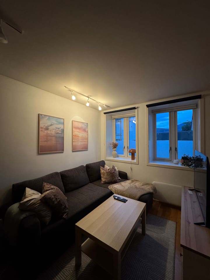 Leilighet I Sentrum - Tromsø