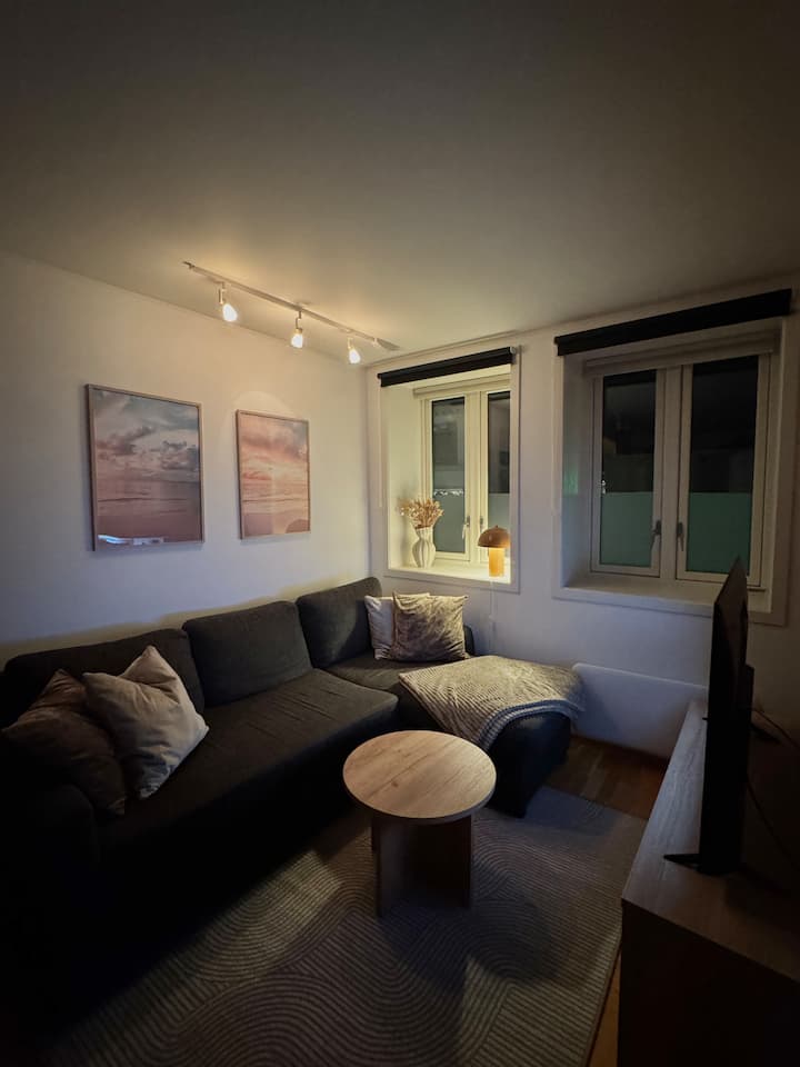 Leilighet I Sentrum - Tromsø