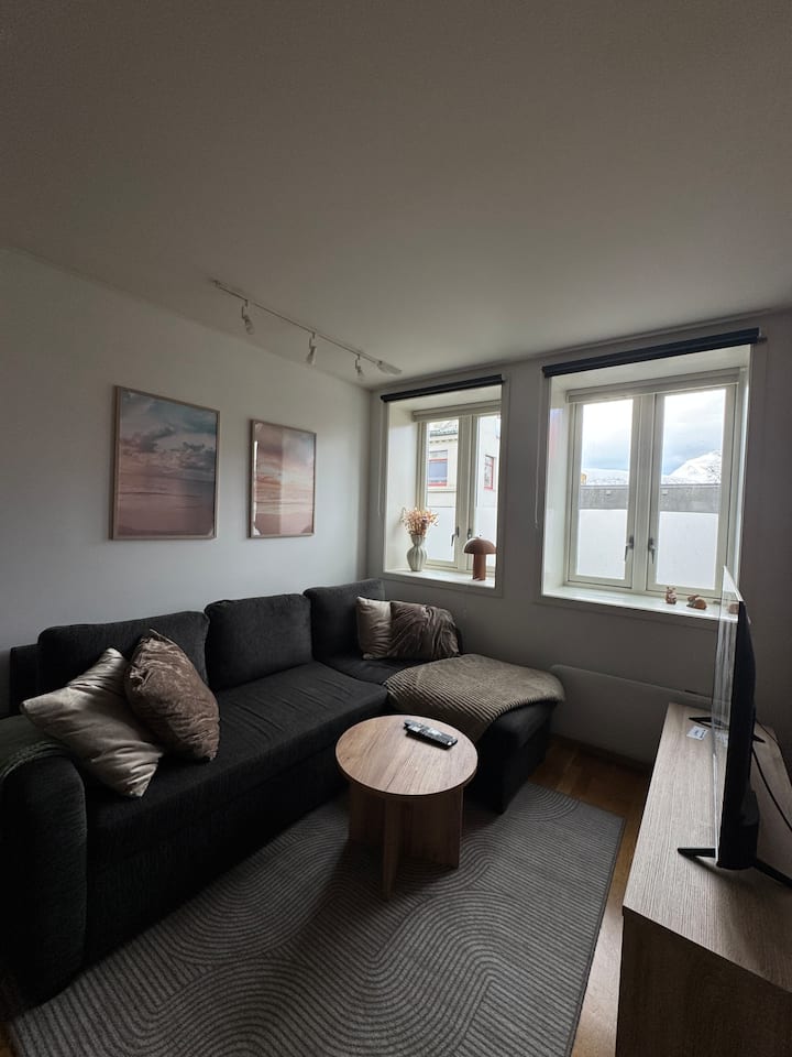 Leilighet I Sentrum - Tromsø