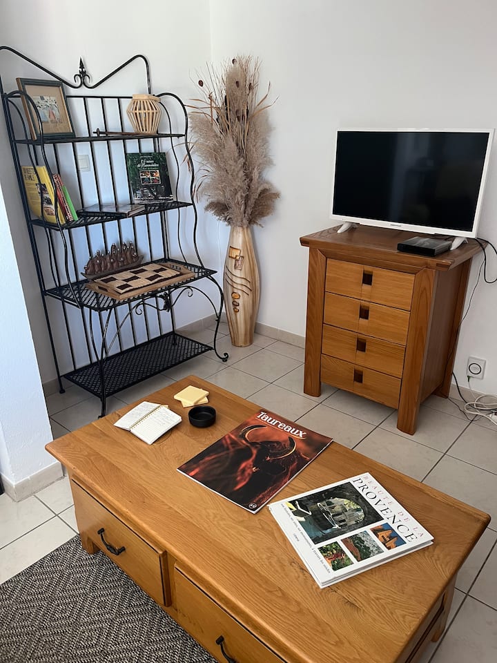 Appartement Meuble En Bail Mobilité - Arles, France