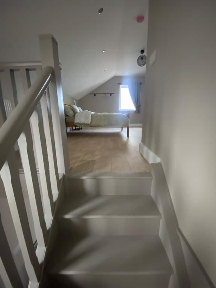 The Nest - Newry