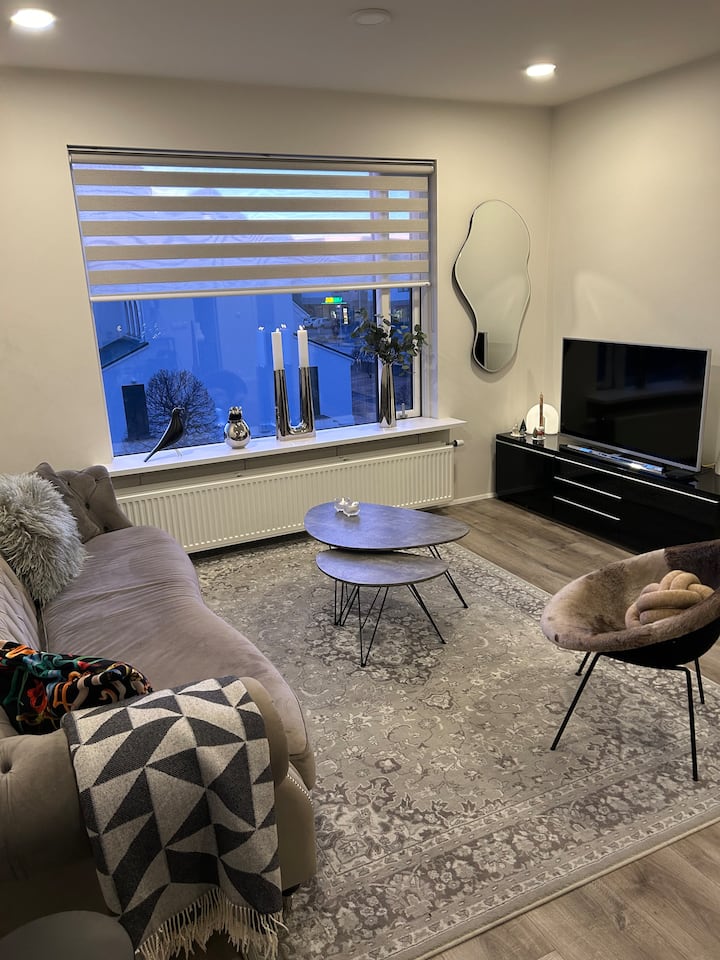 Apartment Down Town With A View - Islande