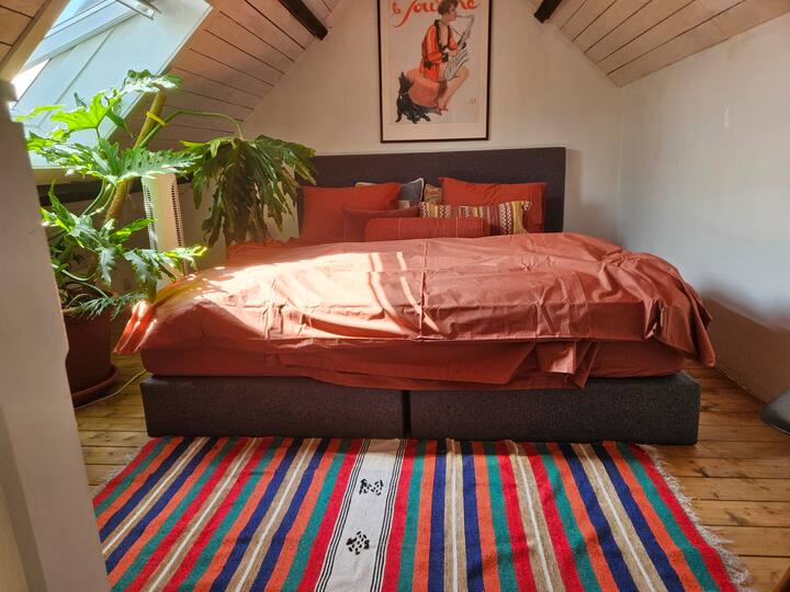 Jungle In The City, Penthouse - Gent