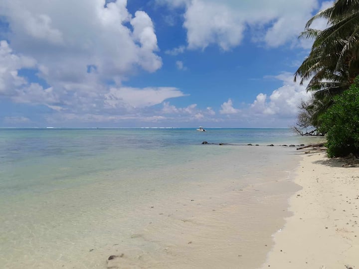 Maison Tropicale Pour 4 Pers – à 300m De La Plage - Polynésie française