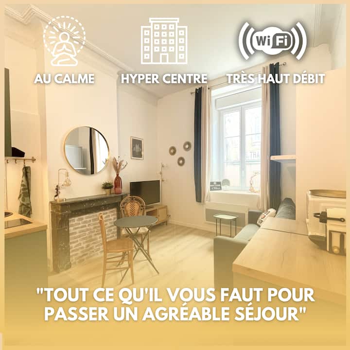 Studio La Petite Chouette - Hyper Centre - Calme - Dijon