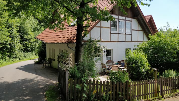 Haus Am Wald - Horn-Bad Meinberg