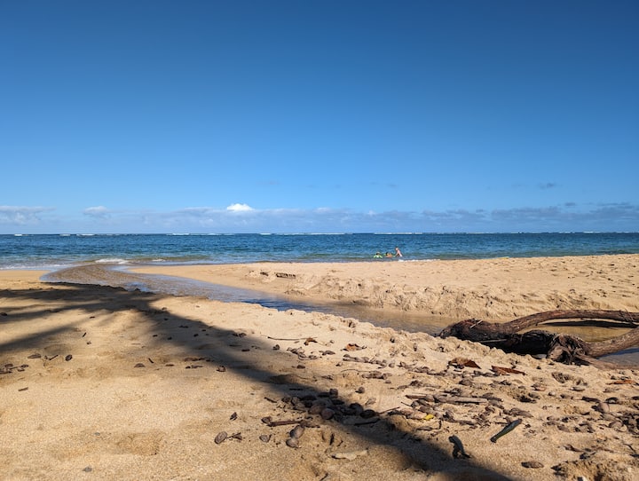 Hale Kahakai - Swanzy Beach Park
