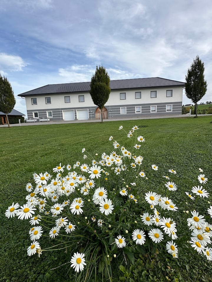 Omg Obermösingergut Christkindl - Austria
